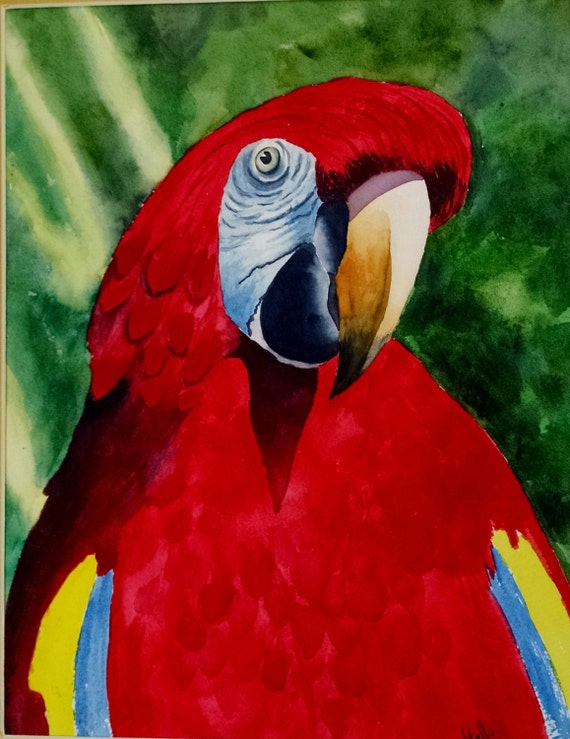 Red Macaw Parrot Watercolor Painting | Etsy