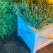 Hand-made Pine Wood Planter Box - Etsy
