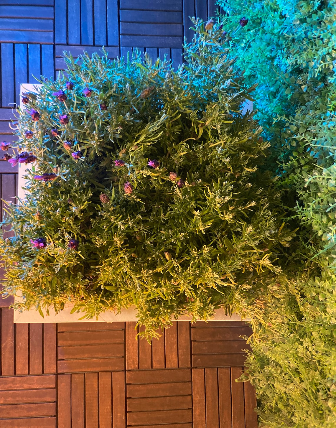 Hand-made Pine Wood Planter Box - Etsy