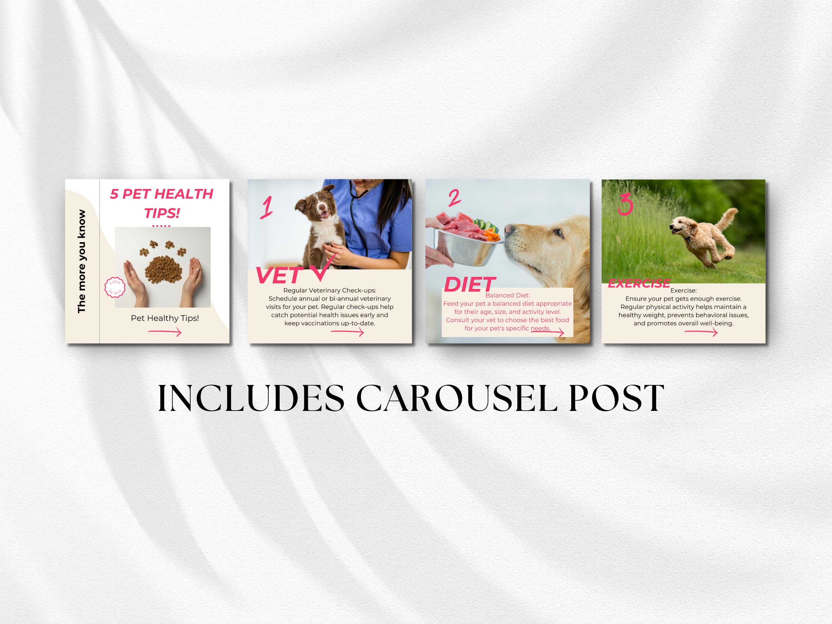 Pet Social Media Templates | Dog Owner Posts | Social Media Pet Care ...