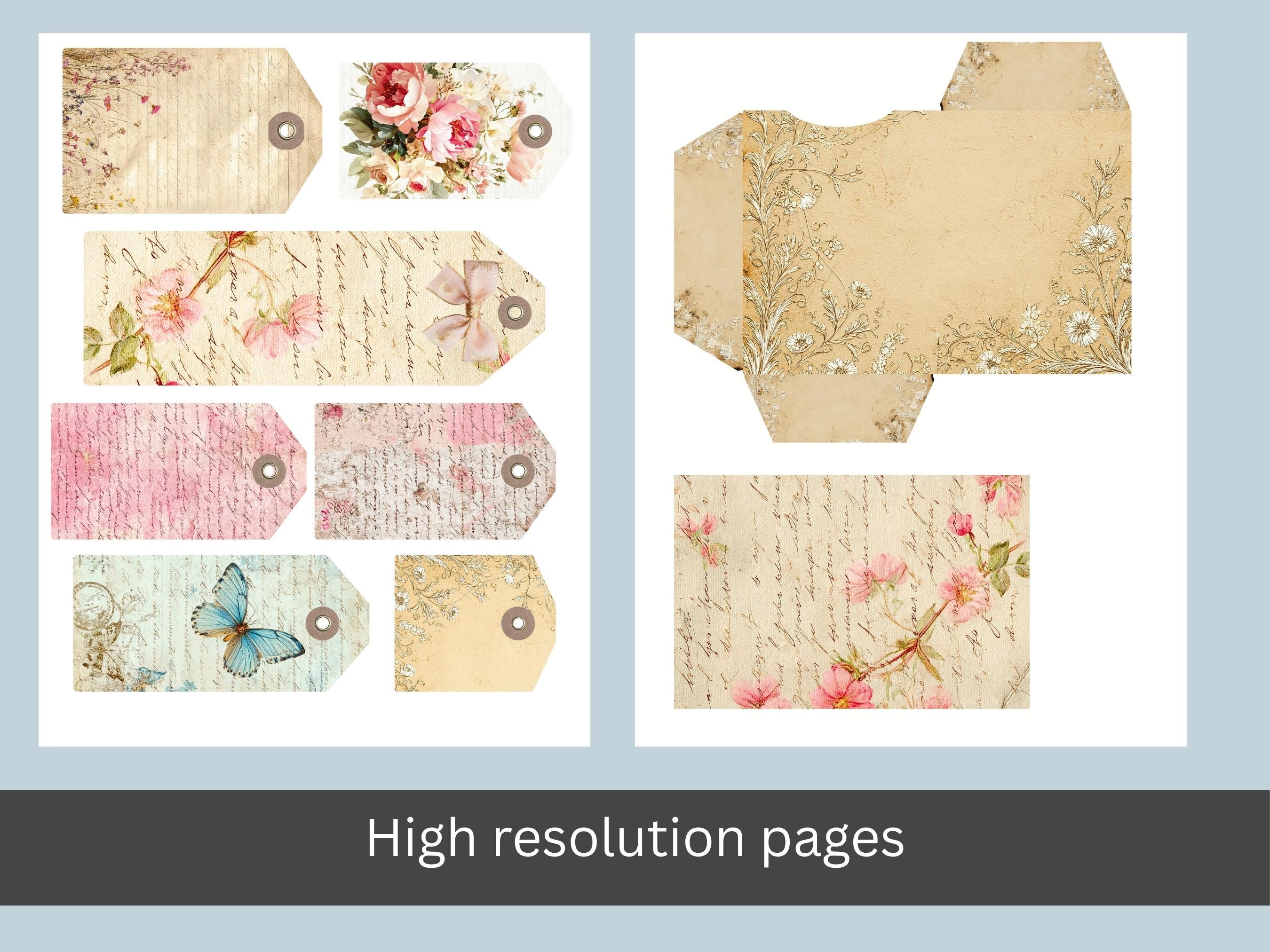 Scripture Loaded File Folder Printable Ephemera Kit Birds Pocket Bible ...