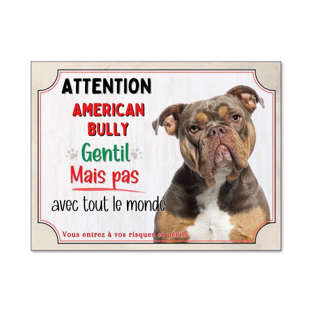 Plaque Beware of American Bully Dog, Nice Not With Everyone, Stands ...