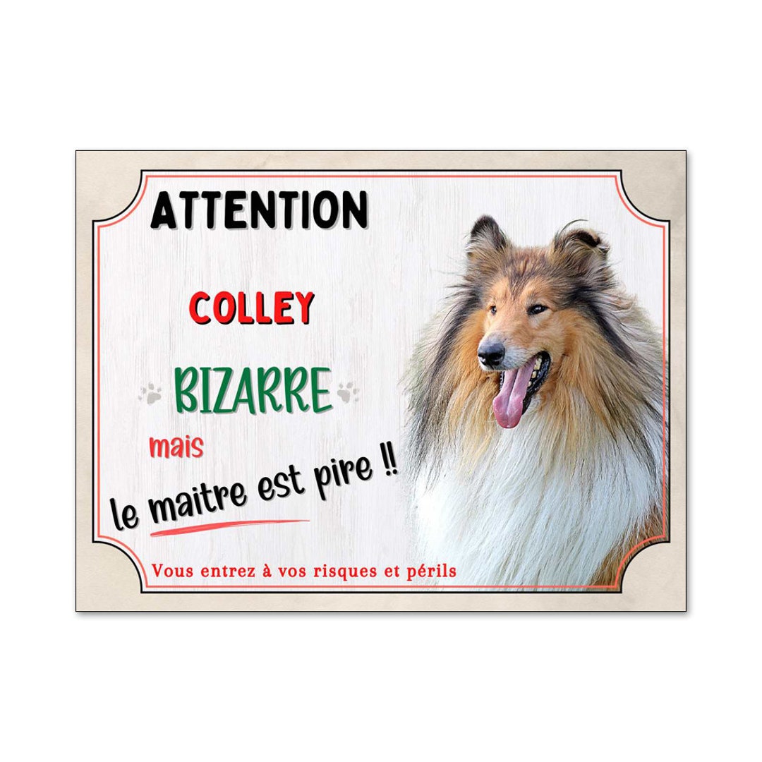 Warning Plaque for Bizarre Collie Dog Stands Guard, Customizable Humor ...