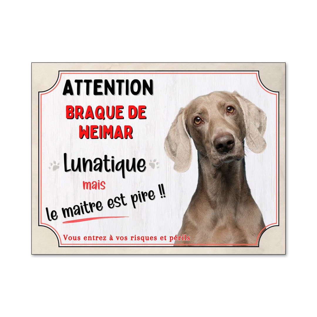 Caution Dog Plaque, Whimsical Weimaraner Stands Guard, Customizable ...