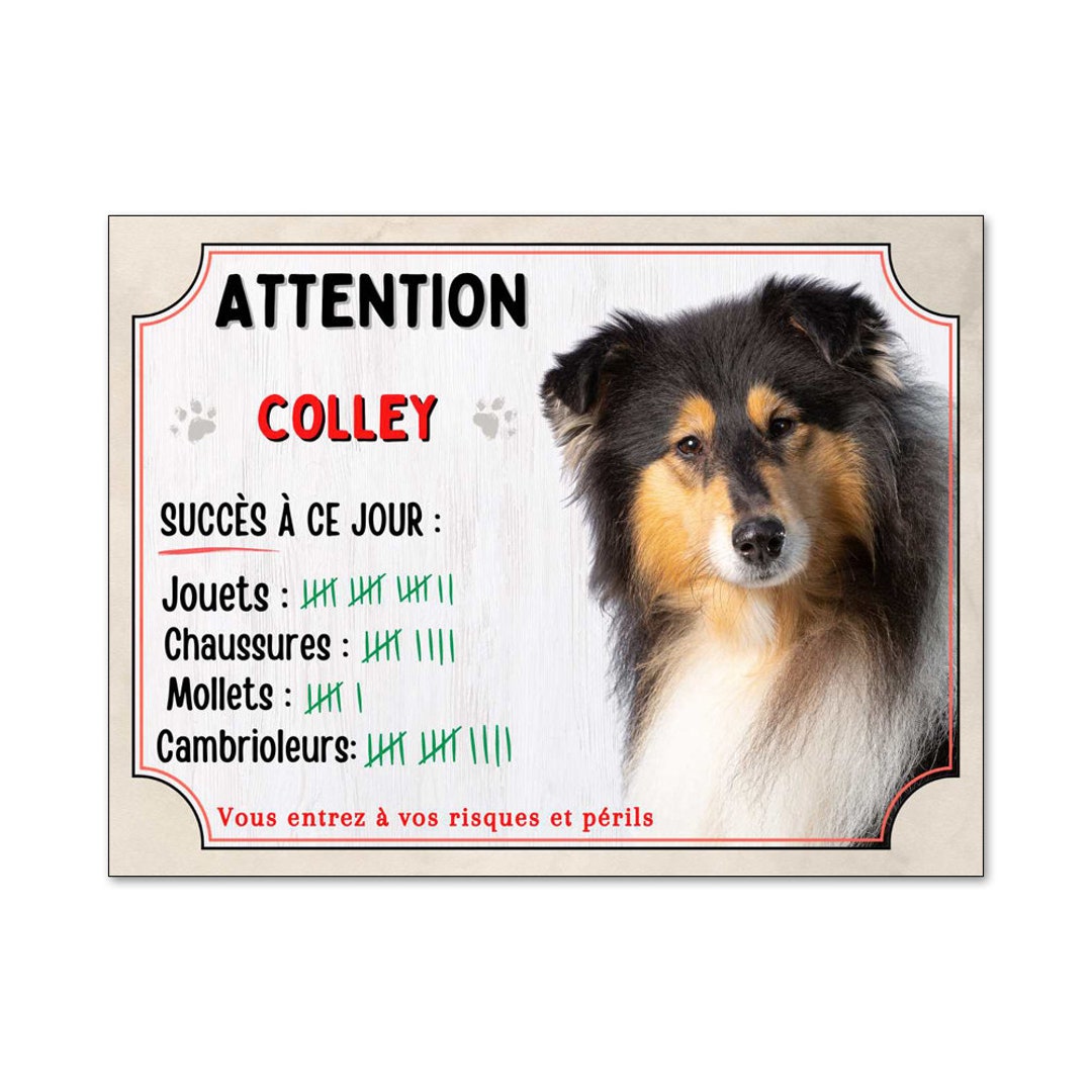 Plaque Attention Collie Dog Counts Its Successes, Postman, Stands Guard ...