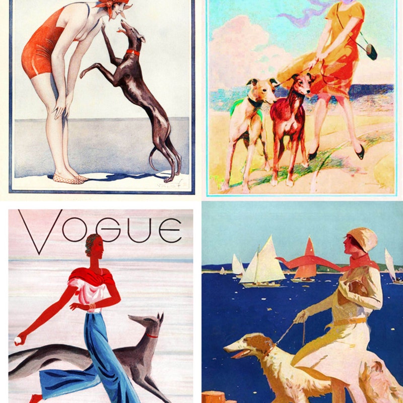 Greyhound Gifts - 60+ Gift Ideas for 2024