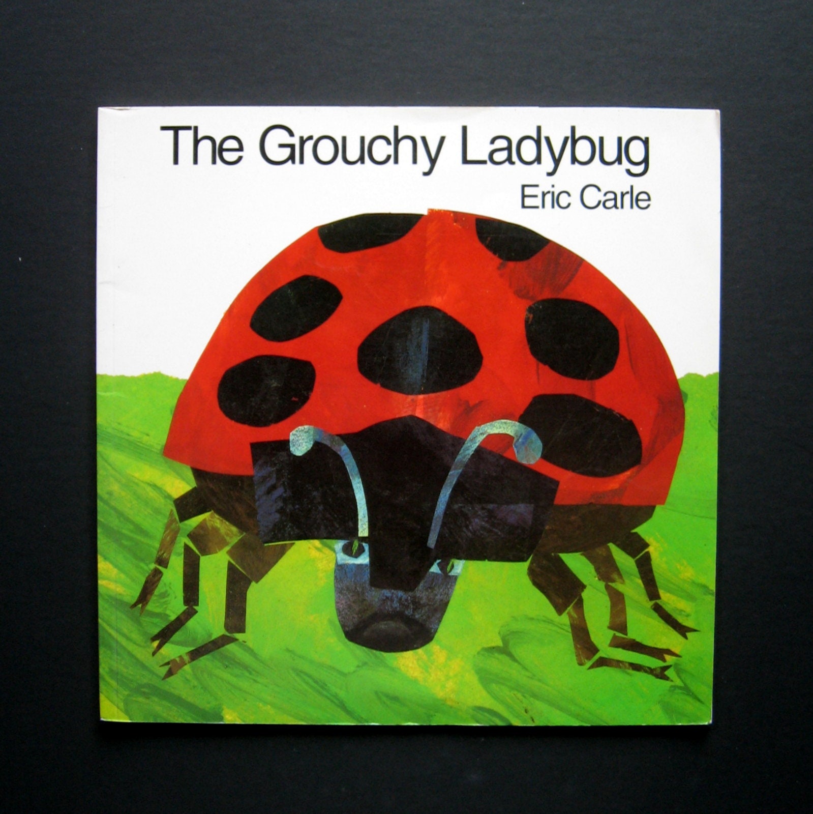 The Grouchy Ladybug Characters