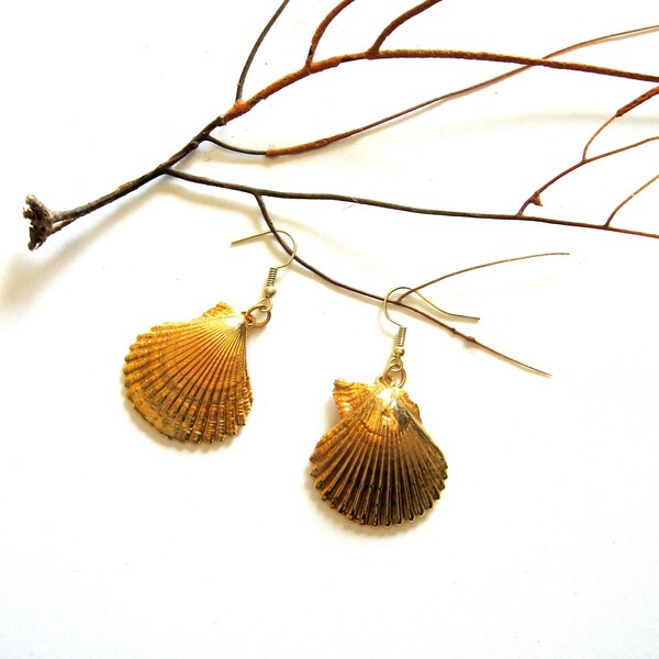 Real Seashells - Etsy