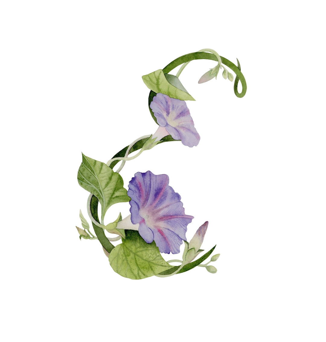 Floral Letter E. Flower Letters Wall Art Decor. Floral Alphabet ...