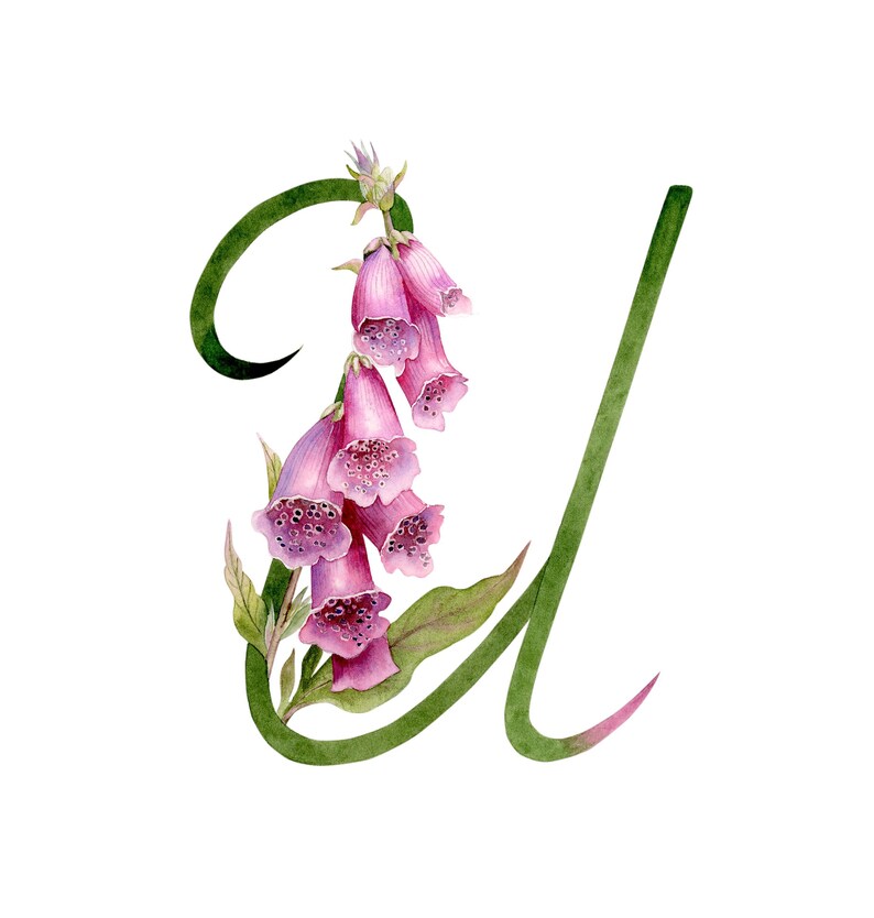 Floral Letter U. Flower Letters Wall Art Decor. Floral Alphabet ...
