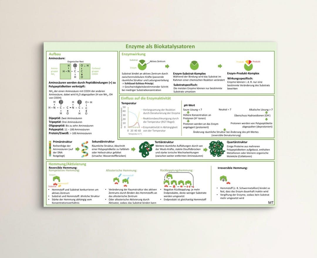 Learning Poster Enzymes as Biocatalysts, Learning Notes, Work Material ...