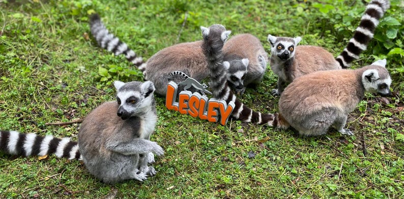 Lemur Personalized Name Sign, 3D Printed Desk Plaque - Etsy Australia