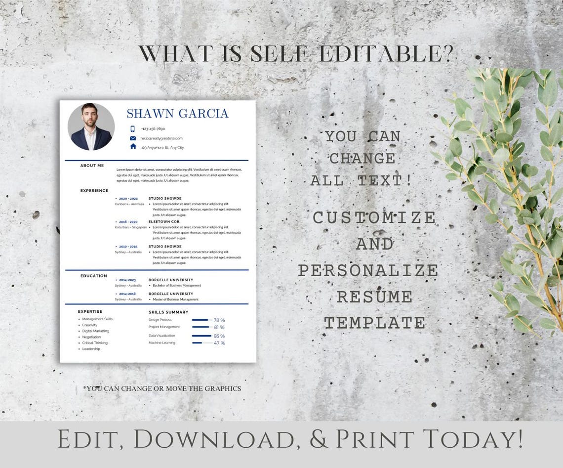 Creative Design Resume Template, Classic CV Template, Formal Design ...