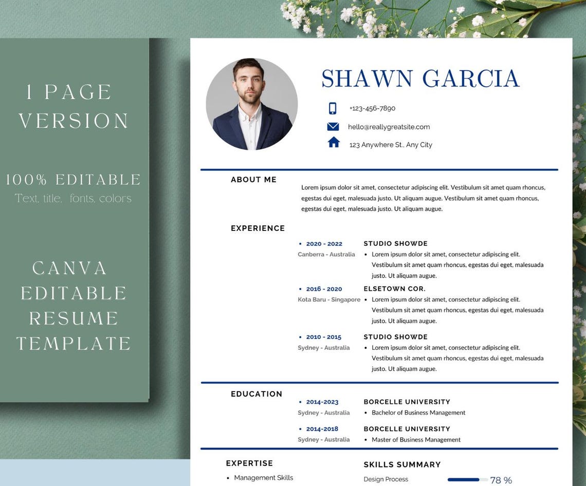 Creative Design Resume Template, Classic CV Template, Formal Design ...