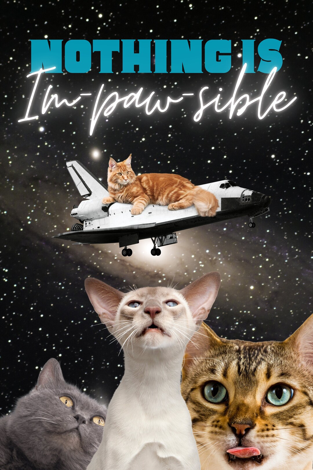 Funny Animal Poster, Digital Poster Download, Inspirational Poster ...