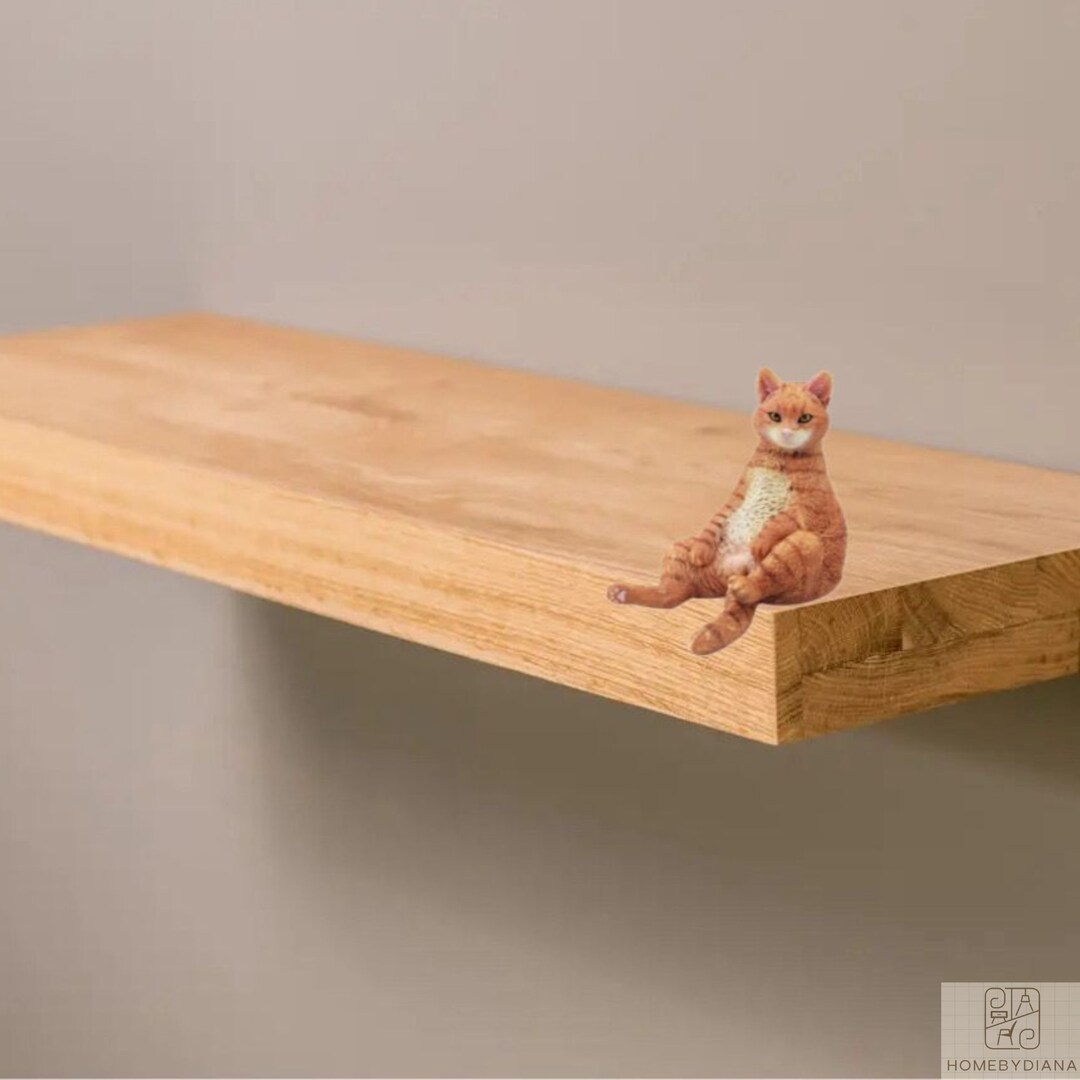 Realistic Cat Figurines - Cute PVC Miniatures for Kids Room, Home Decor ...