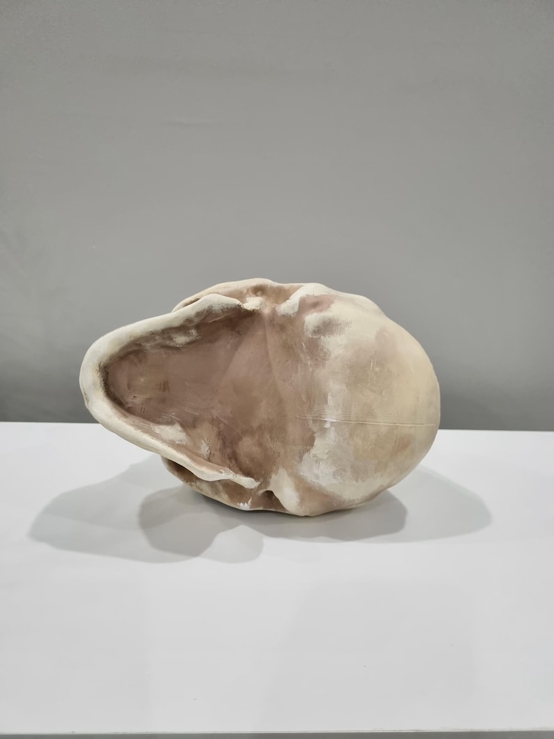 3D Printed Homo Erectus Skull Replica - Realistic Fossil, Educational ...