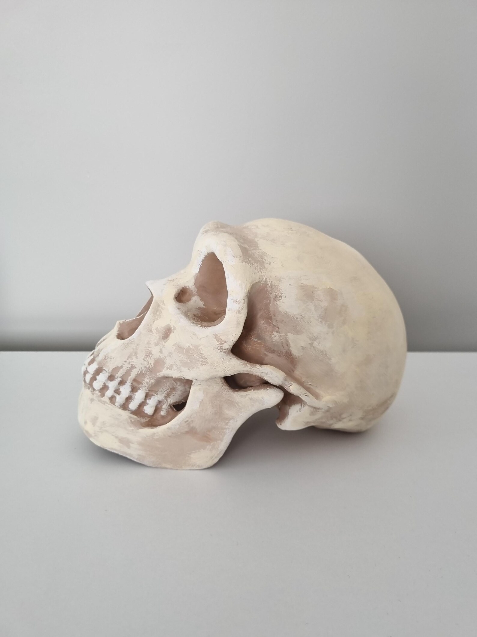3D Printed Neanderthal Skull Replica - Realistic Fossil, Educational ...
