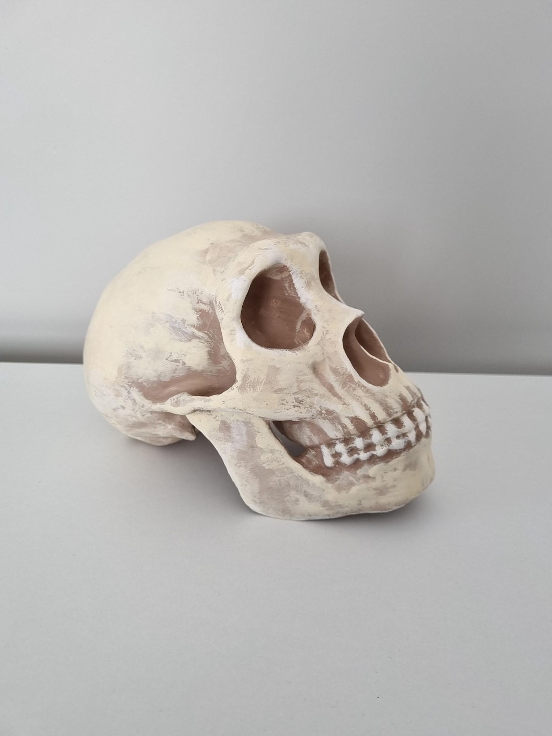 3D Printed Neanderthal Skull Replica - Realistic Fossil, Educational ...