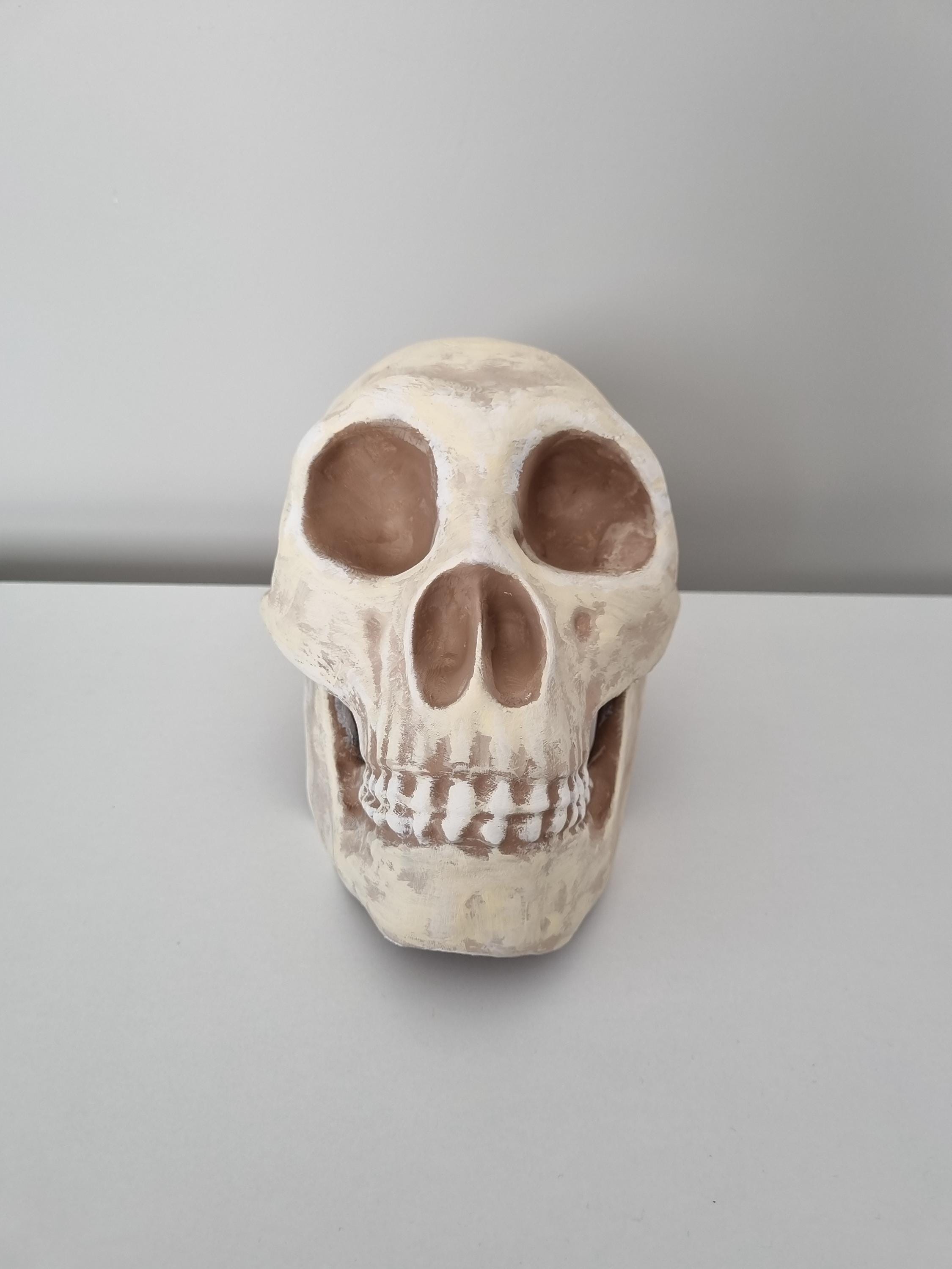 3D Printed Neanderthal Skull Replica - Realistic Fossil, Educational ...