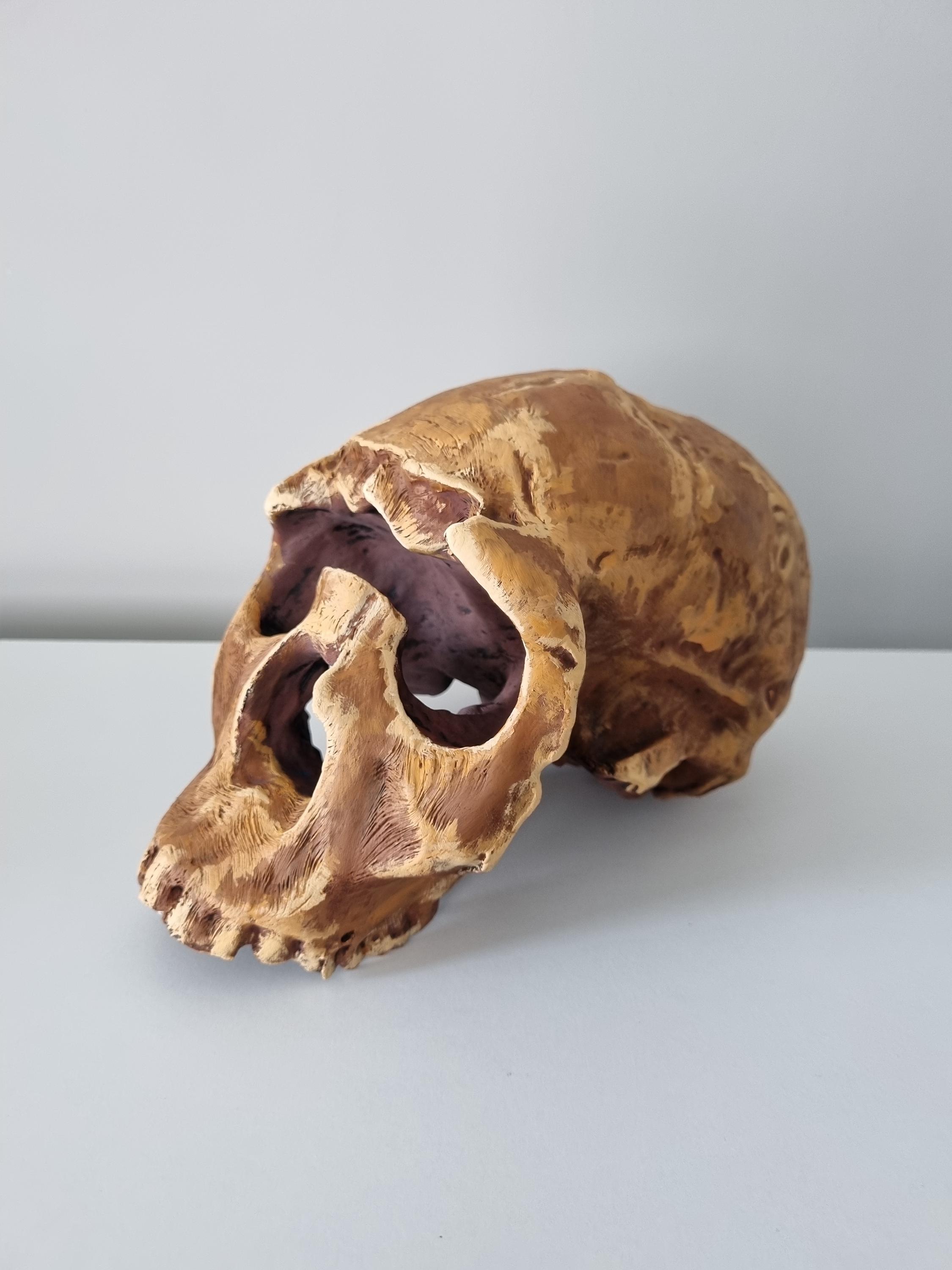 3D Printed Ergaster Skull Replica Hand-painted Unique Decor ...