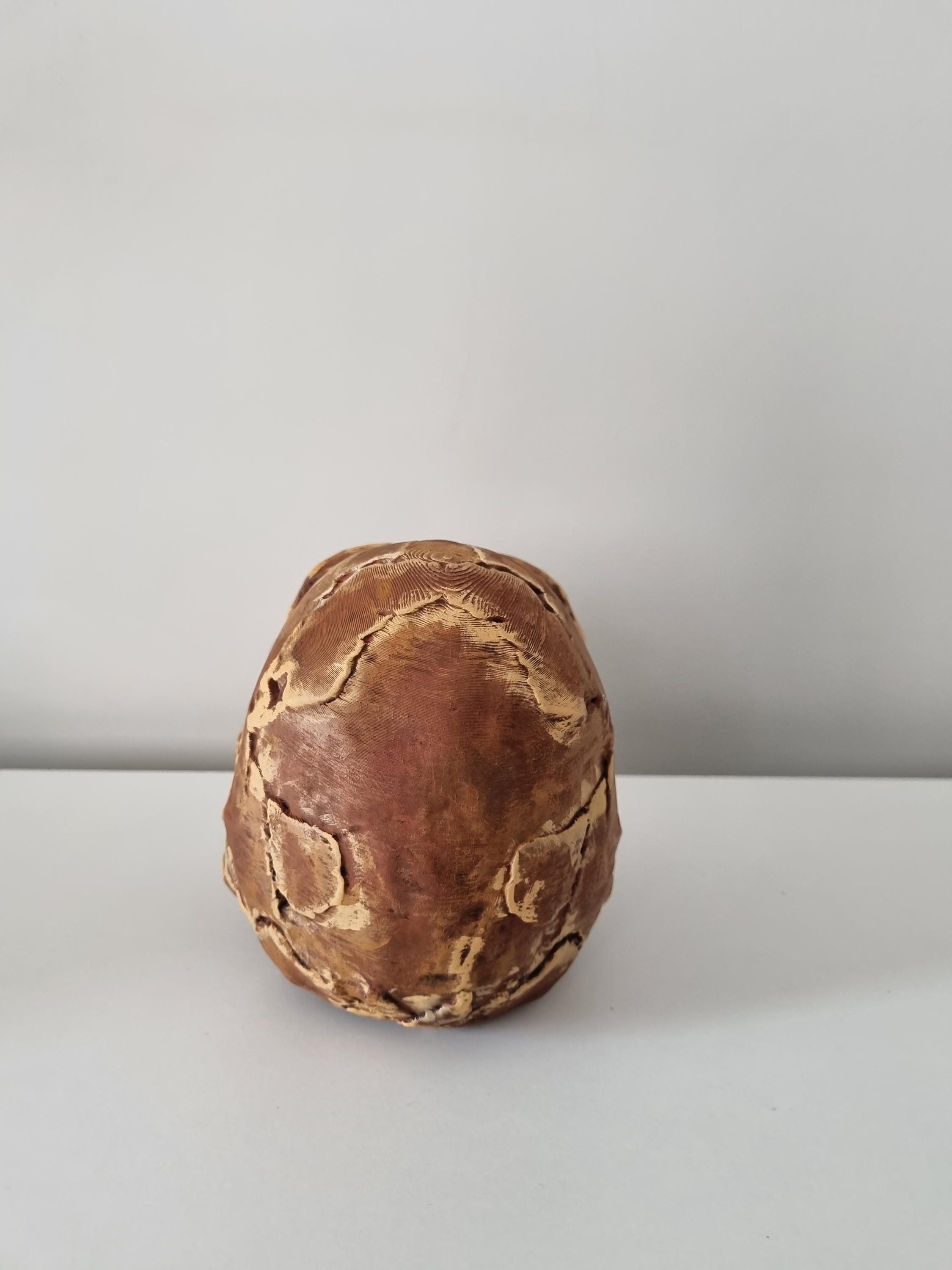 Hand-painted Homo Naledi Skull Replica: 3D Printed Educational Model - Etsy