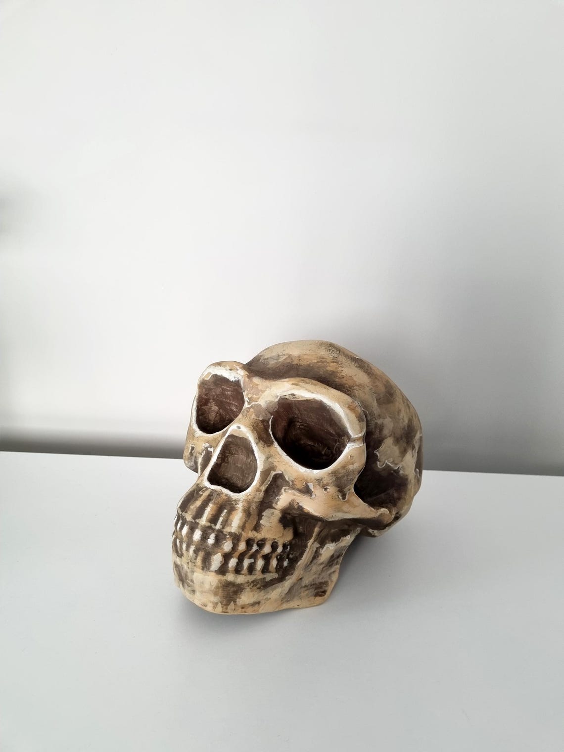 3D Printed Homo Erectus Skull Replica - Realistic Fossil, Educational ...