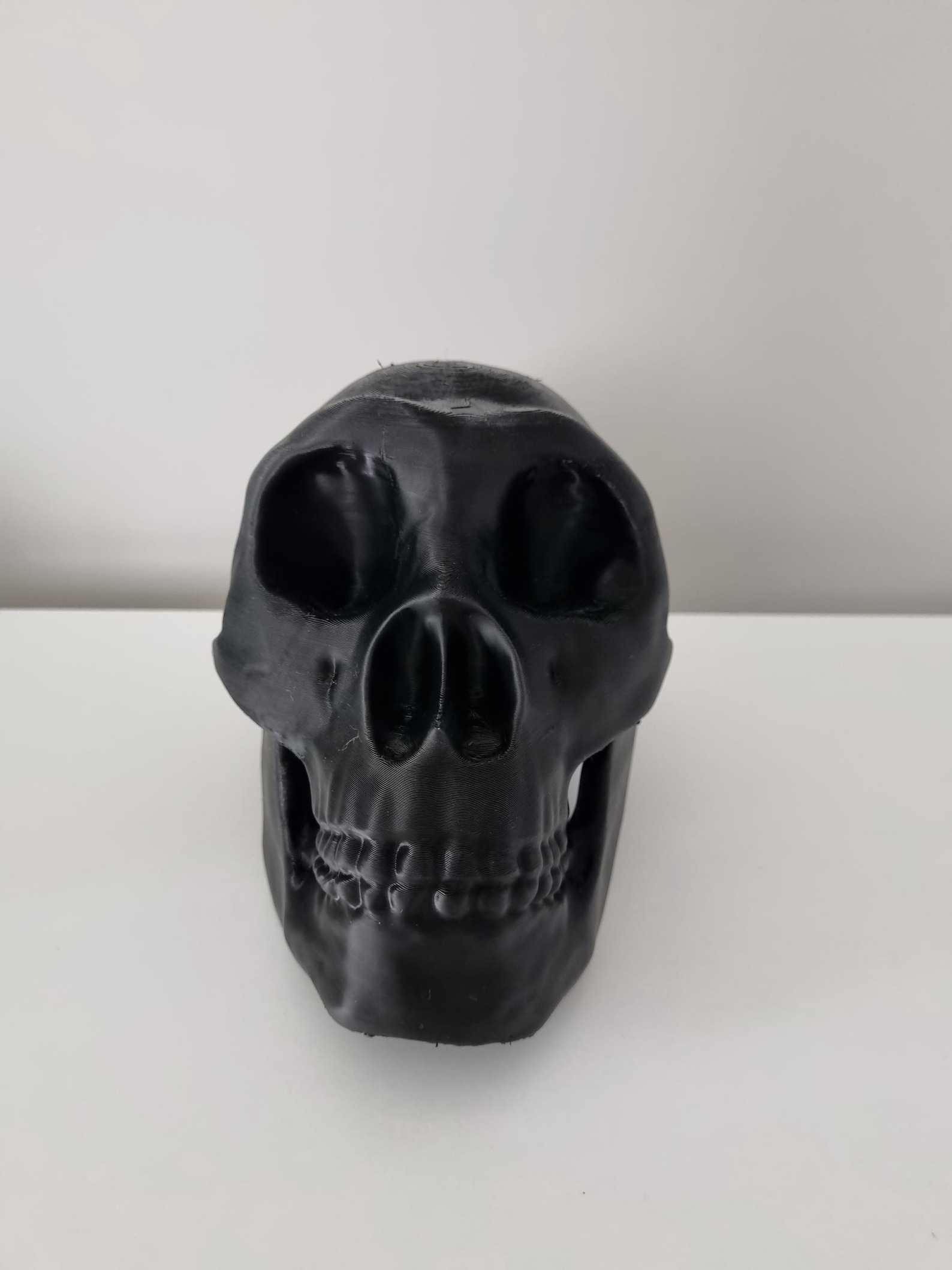 3D Printed Neanderthal Skull Replica - Realistic Fossil, Educational ...