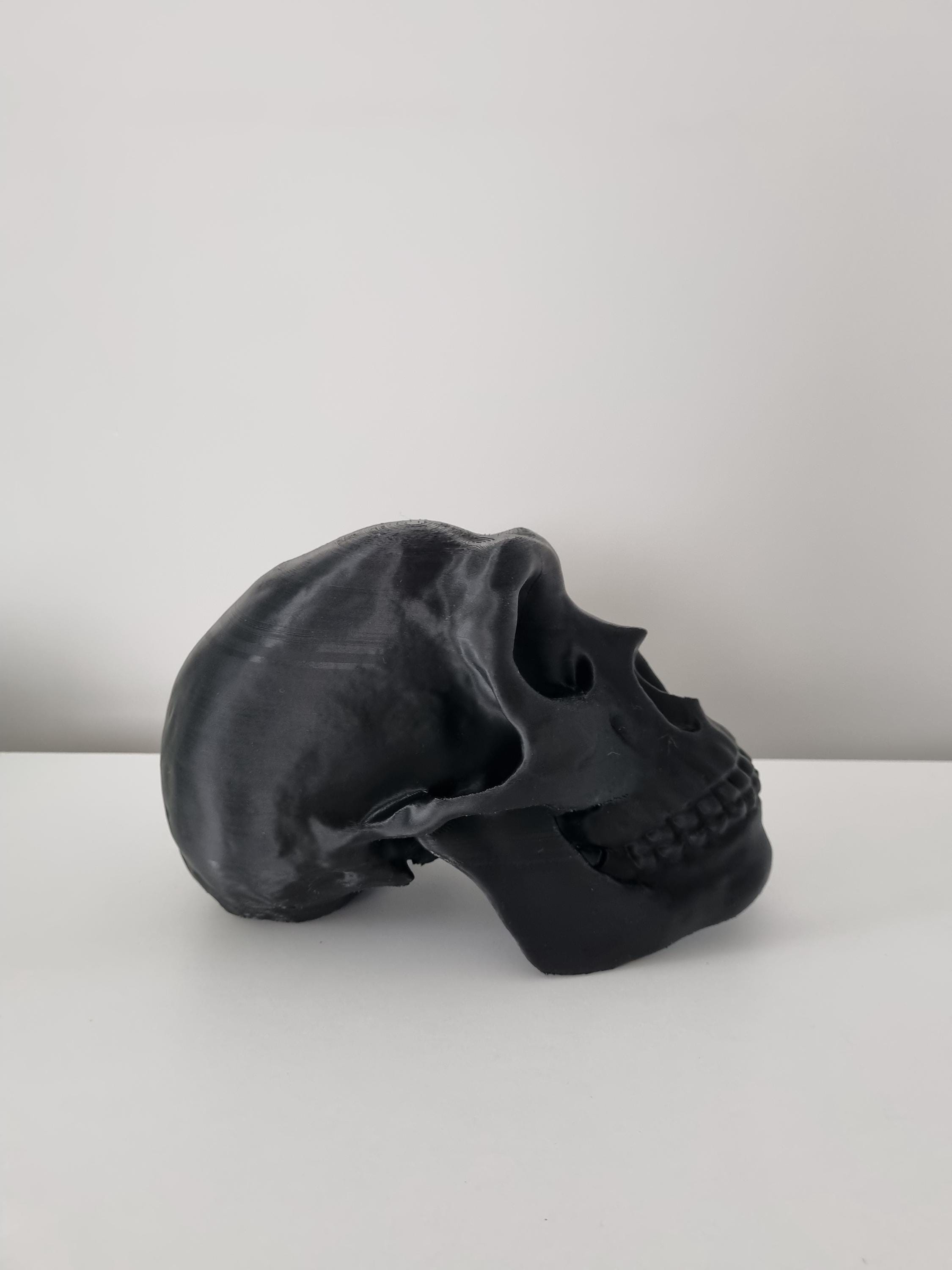 3D Printed Neanderthal Skull Replica - Realistic Fossil, Educational ...