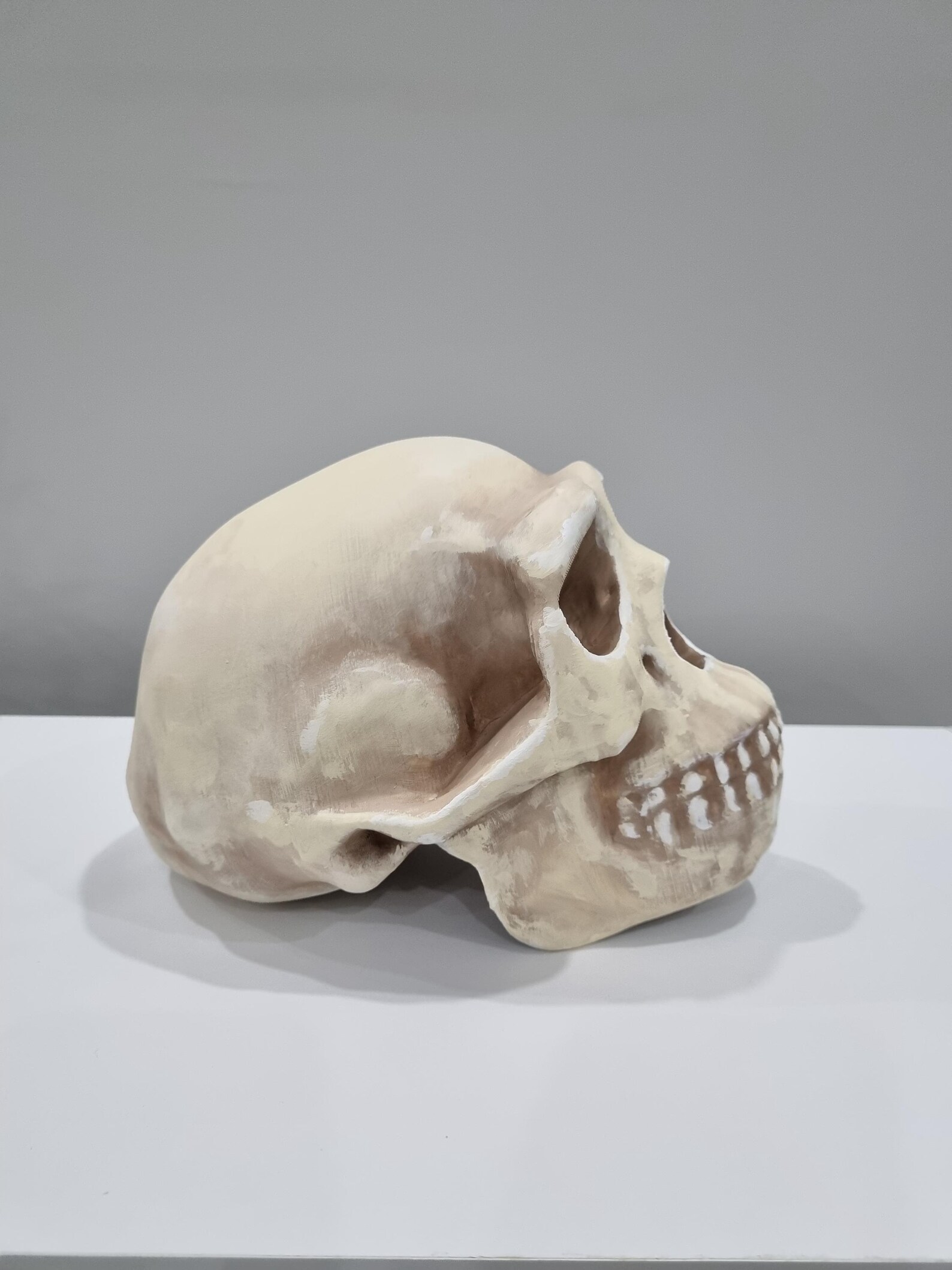 3D Printed Homo Erectus Skull Replica - Realistic Fossil, Educational ...