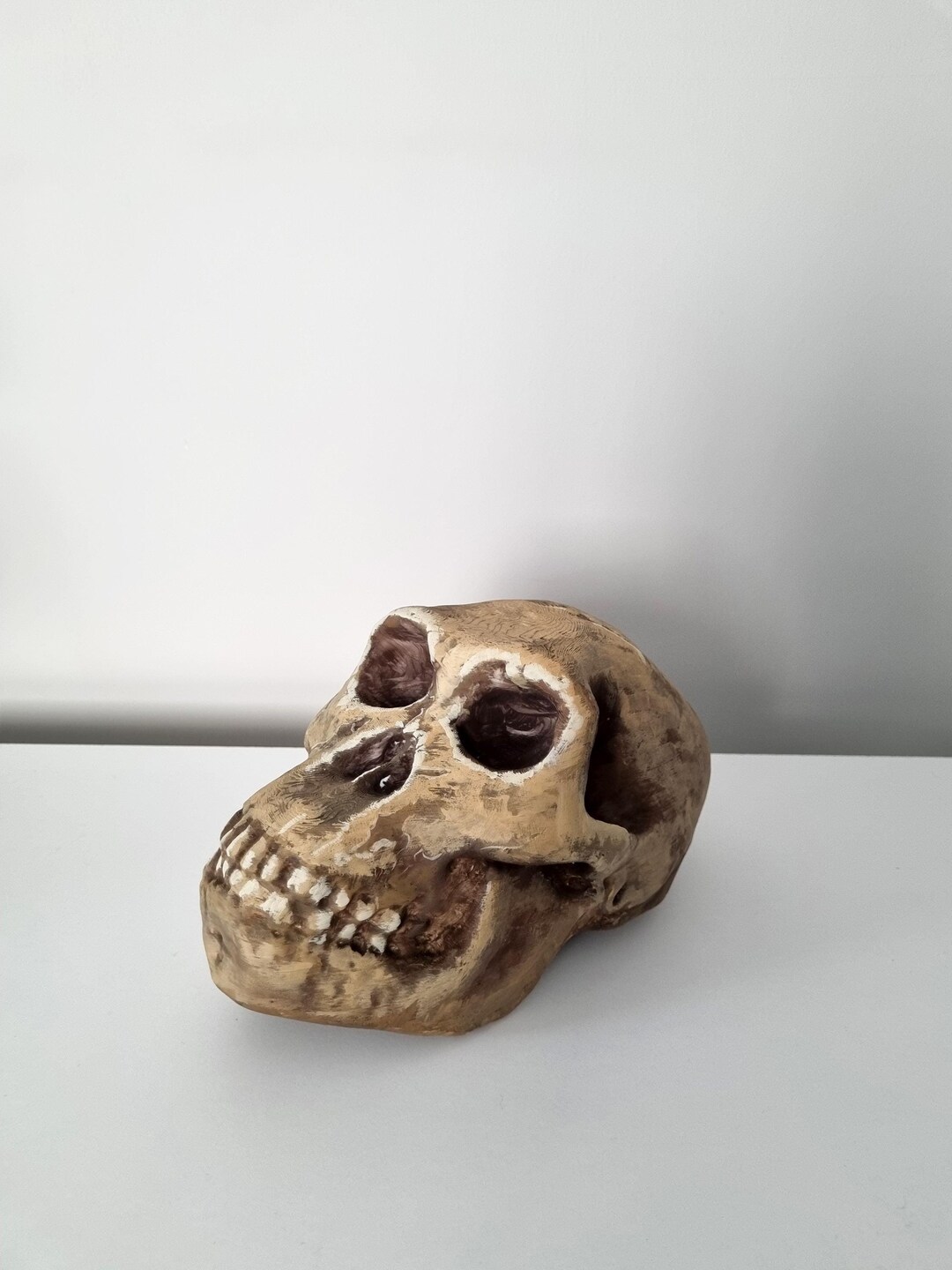 3D Printed Homo Habilis Skull Replica - Realistic Fossil, Educational ...