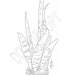 Snake Plant Design, Adult/child Coloring Page, Digital Download JPG/PDF ...