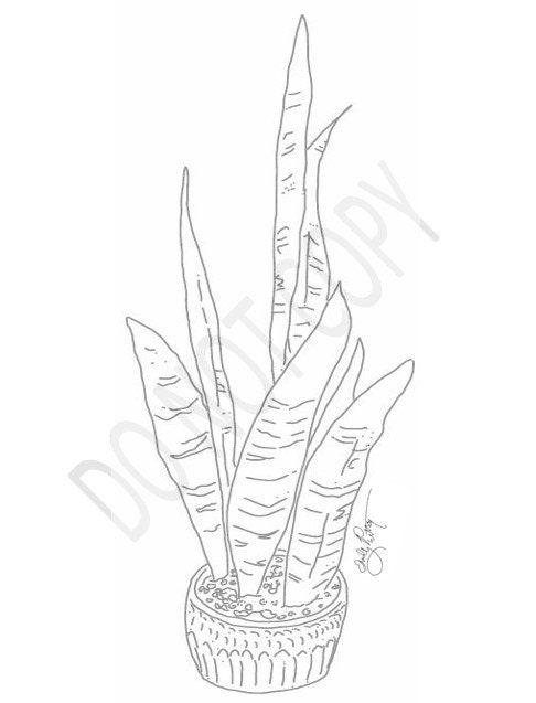 Snake Plant Design, Adult/child Coloring Page, Digital Download JPG/PDF ...