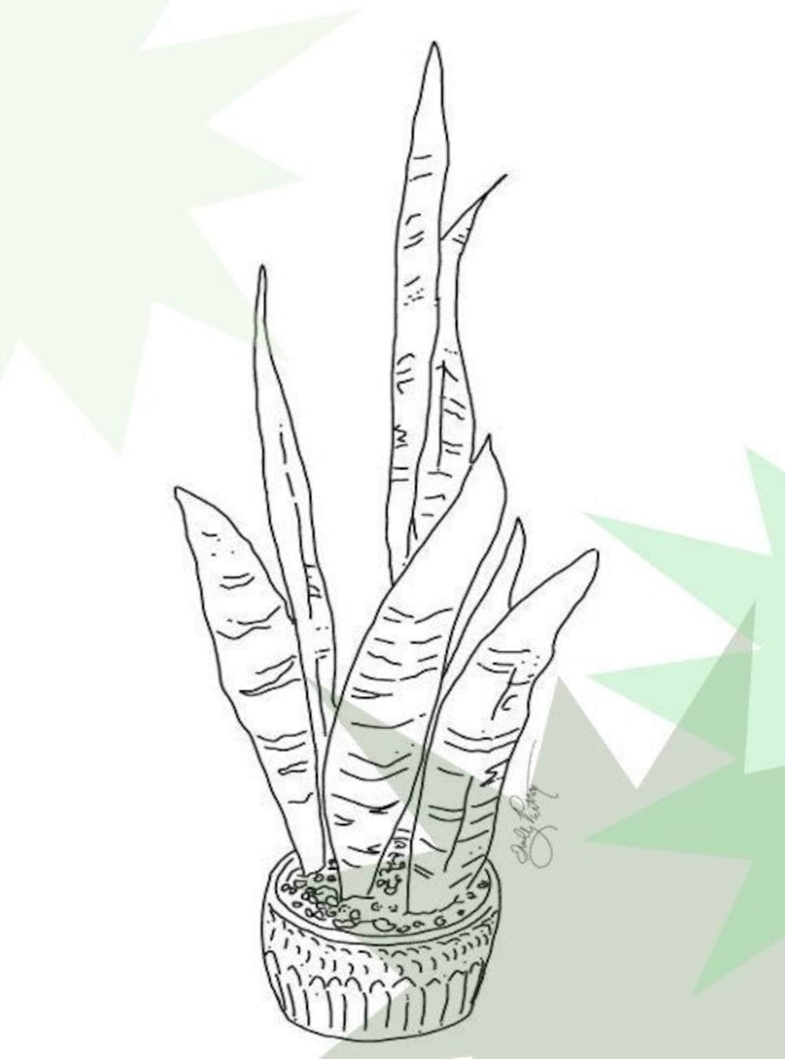 Snake Plant Design, Adult/child Coloring Page, Digital Download JPG/PDF ...