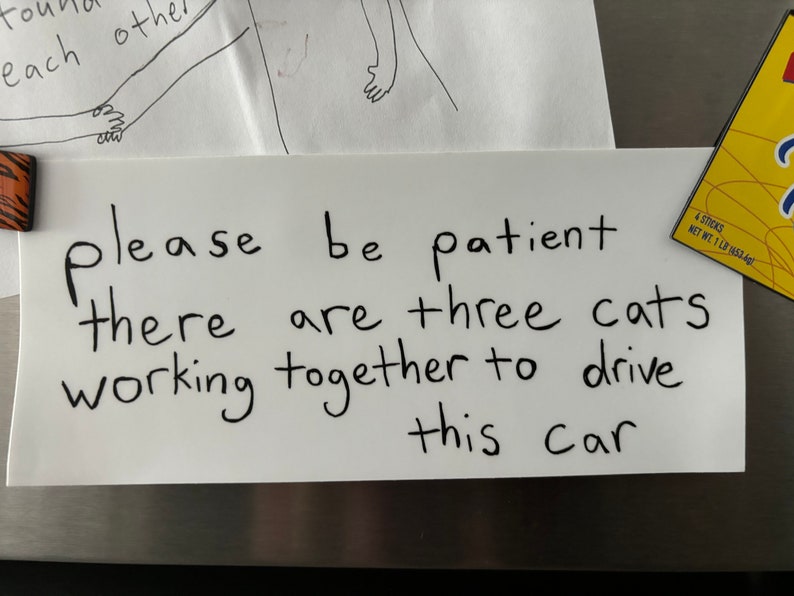 Please Be Patient There Are Three Cats Working Together to Drive This ...