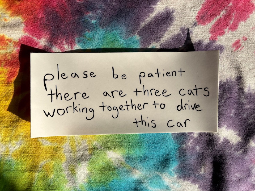 Please Be Patient There Are Three Cats Working Together to Drive This ...