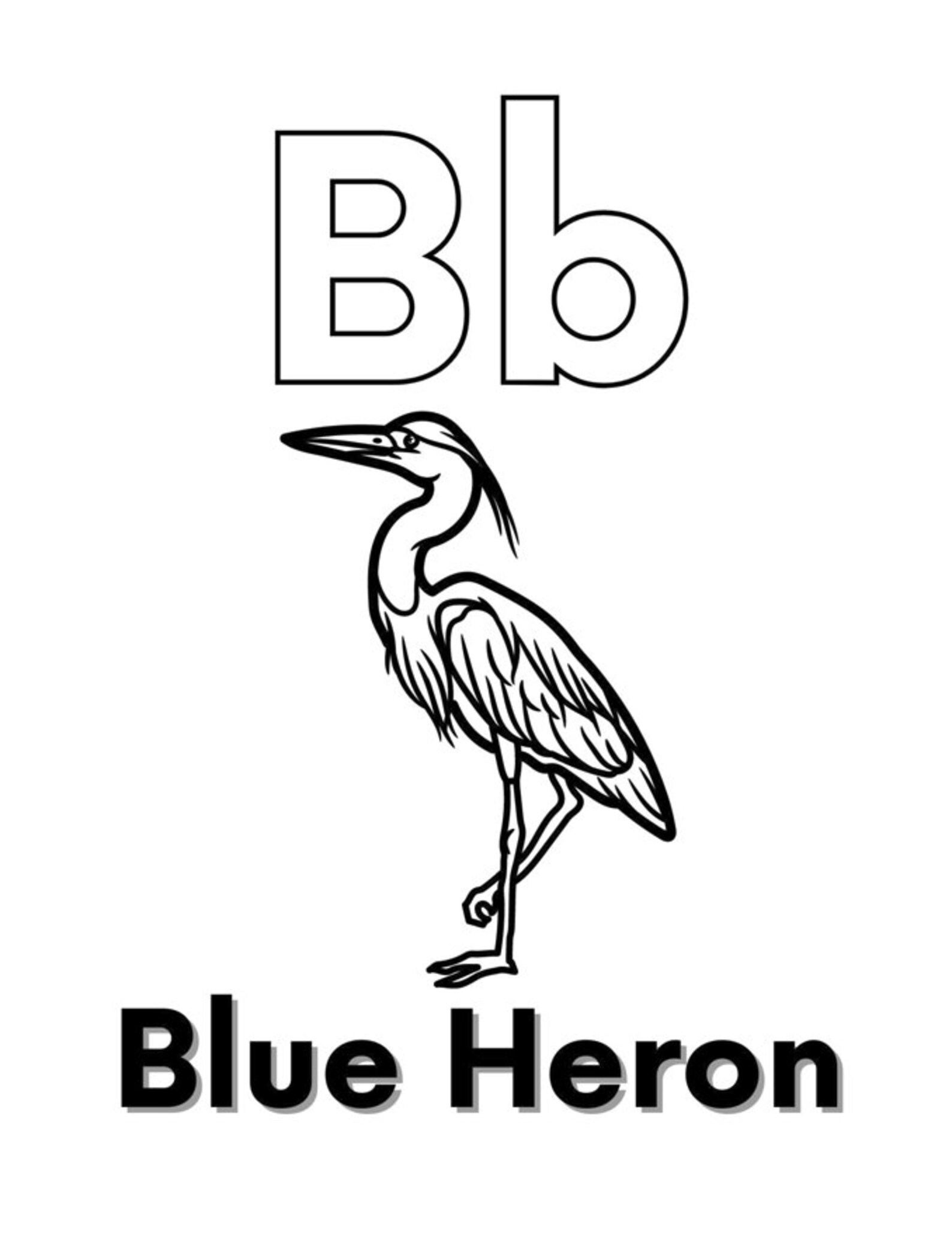 Louisiana Bayou Animals Coloring Book Abc's - Etsy