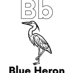 Louisiana Bayou Animals Coloring Book Abc's - Etsy