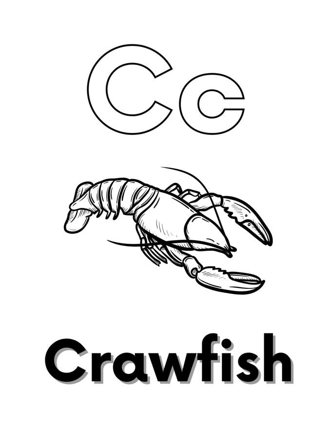 Louisiana Bayou Animals Coloring Book Abc's - Etsy