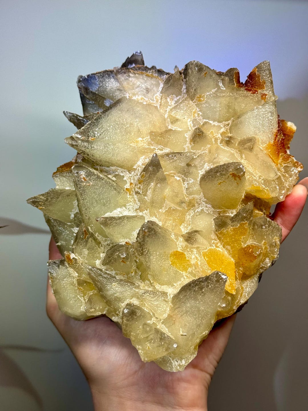 HUGE STATEMENT PIECE Dog Tooth Dog Teeth Calcite Huge Piece Crystal ...