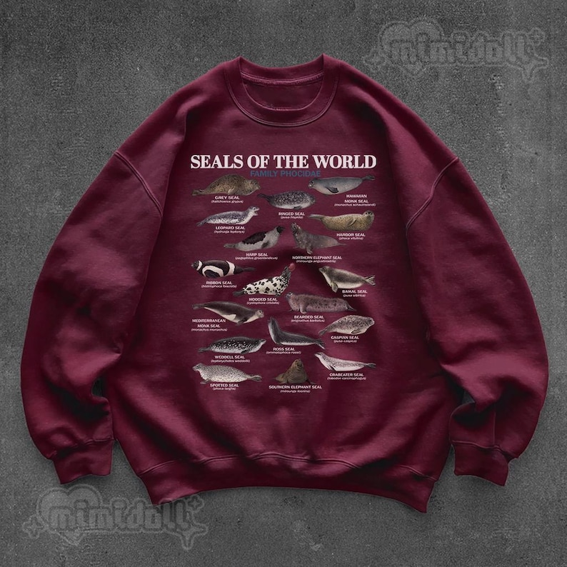 Seal Sweater Y2k, Seals of the World Sweatshirt, Seal Species 90s Retro ...