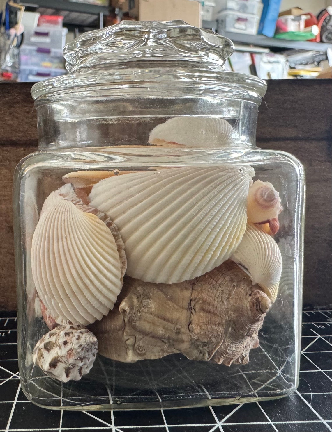 Apothecary Jar With Sea Shells - Etsy