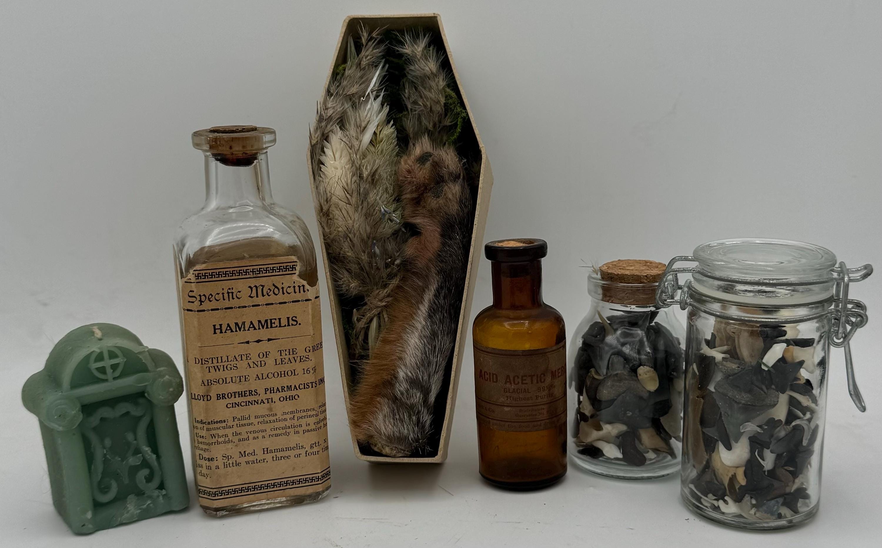 Oddity Lot / Engraved Glass Coffin - Etsy