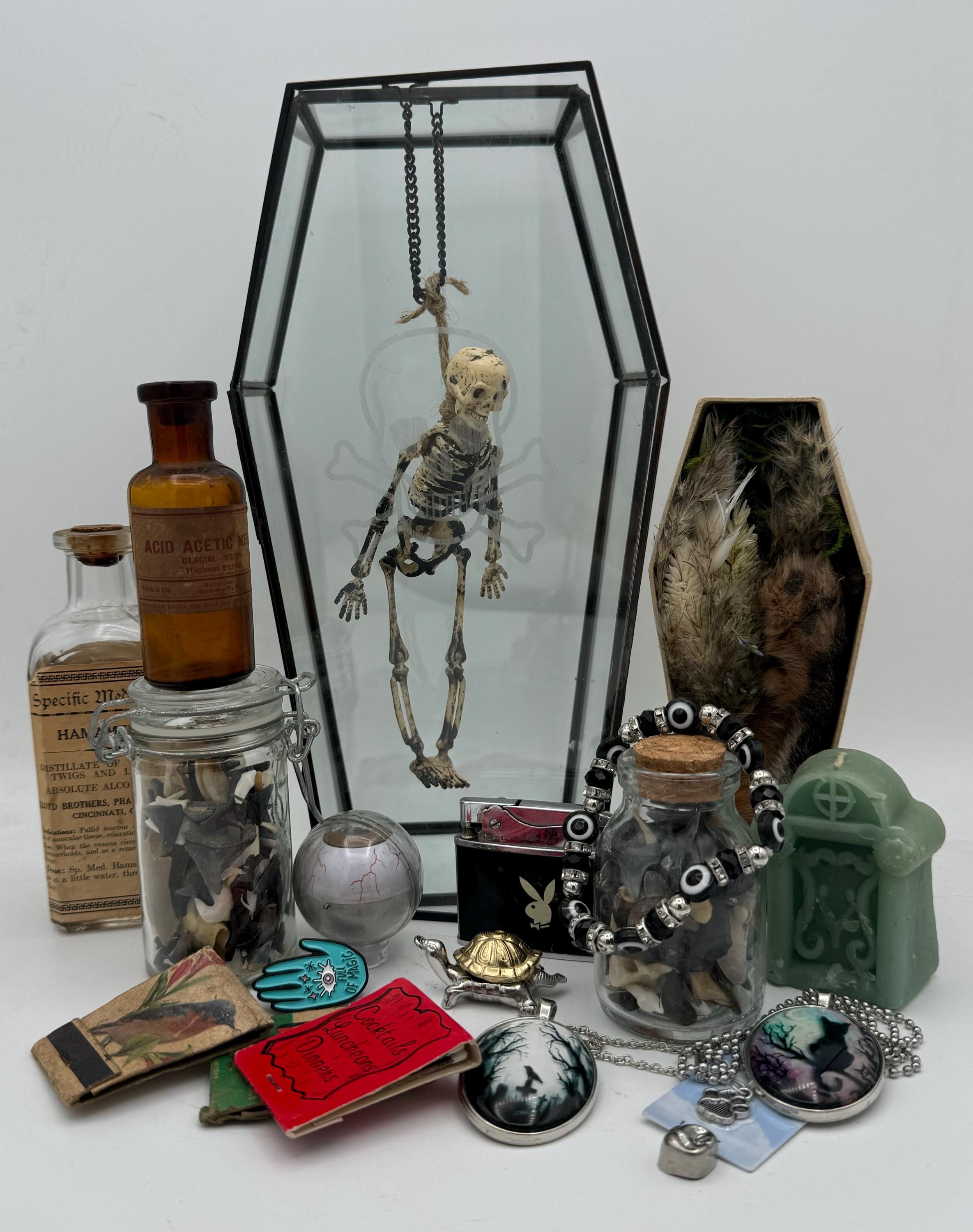 Oddity Lot / Engraved Glass Coffin - Etsy