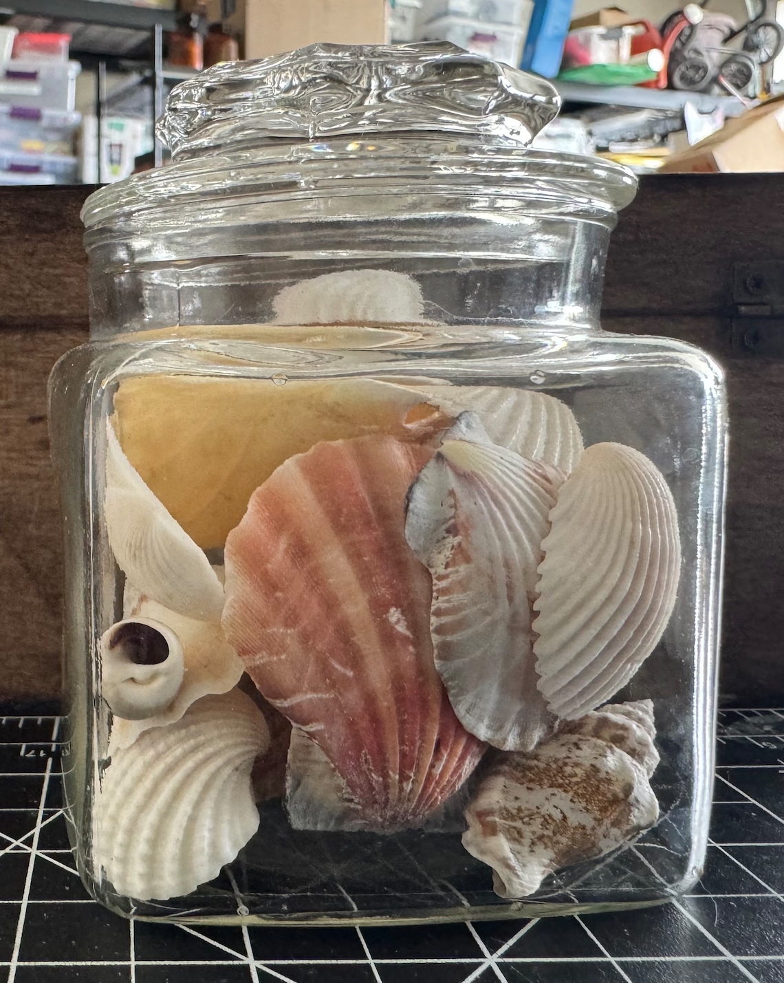 Apothecary Jar With Sea Shells - Etsy
