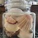 Apothecary Jar With Sea Shells - Etsy