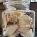 Apothecary Jar With Sea Shells - Etsy
