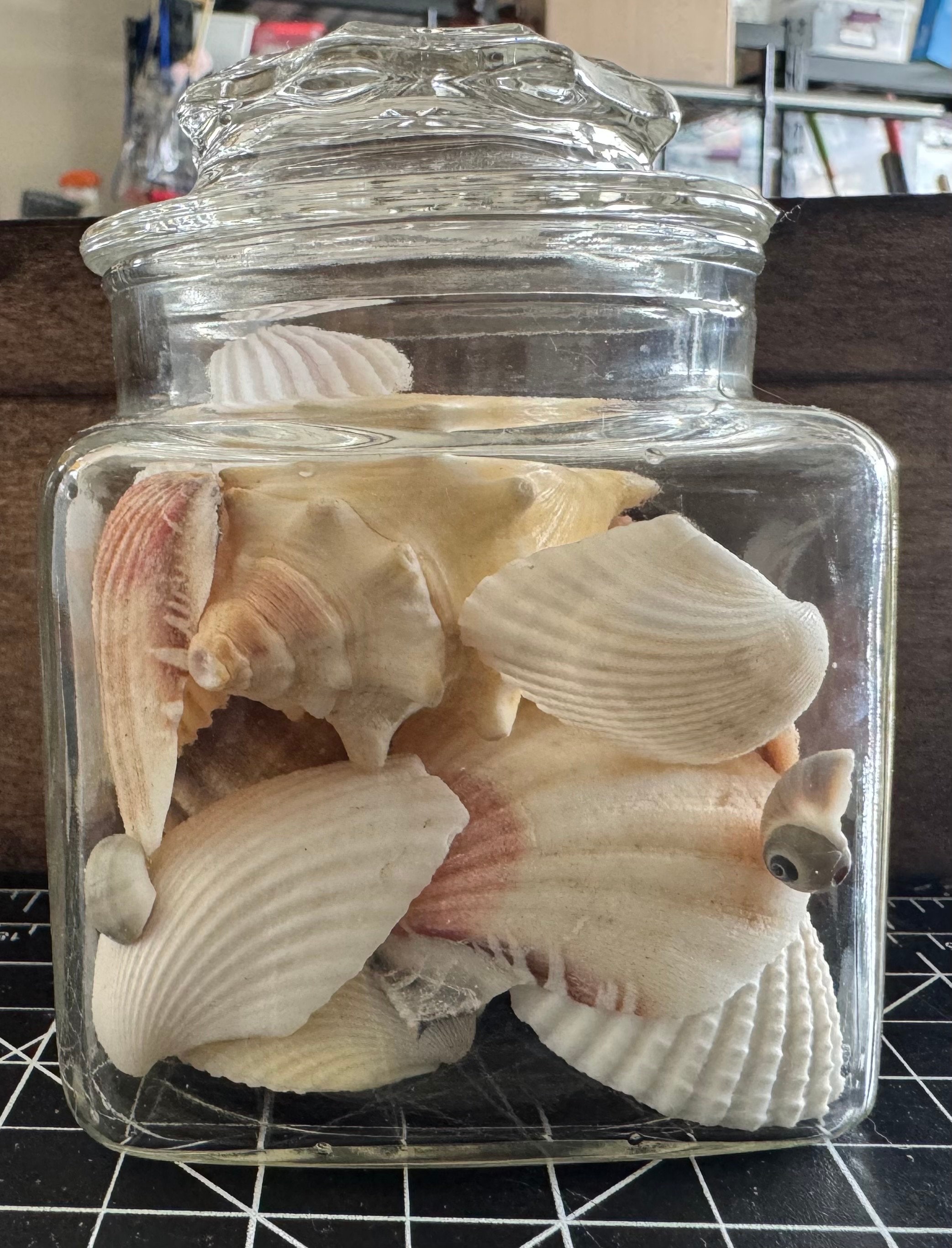 Apothecary Jar With Sea Shells - Etsy