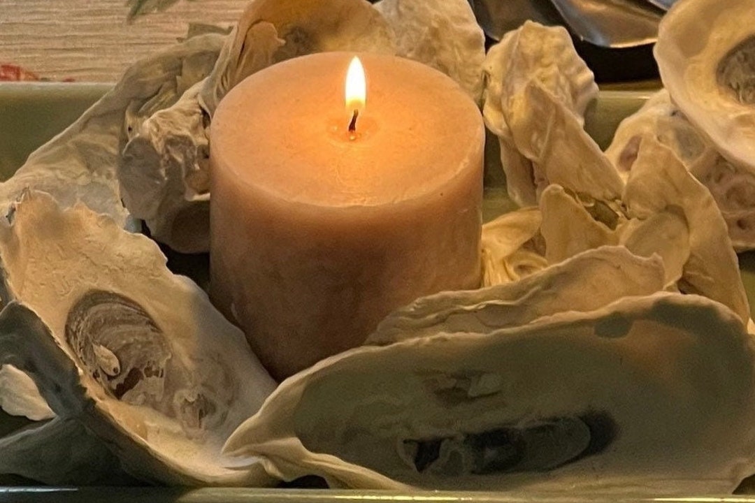 Assateague Island Oyster Shell Cluster From National Seashore - Etsy