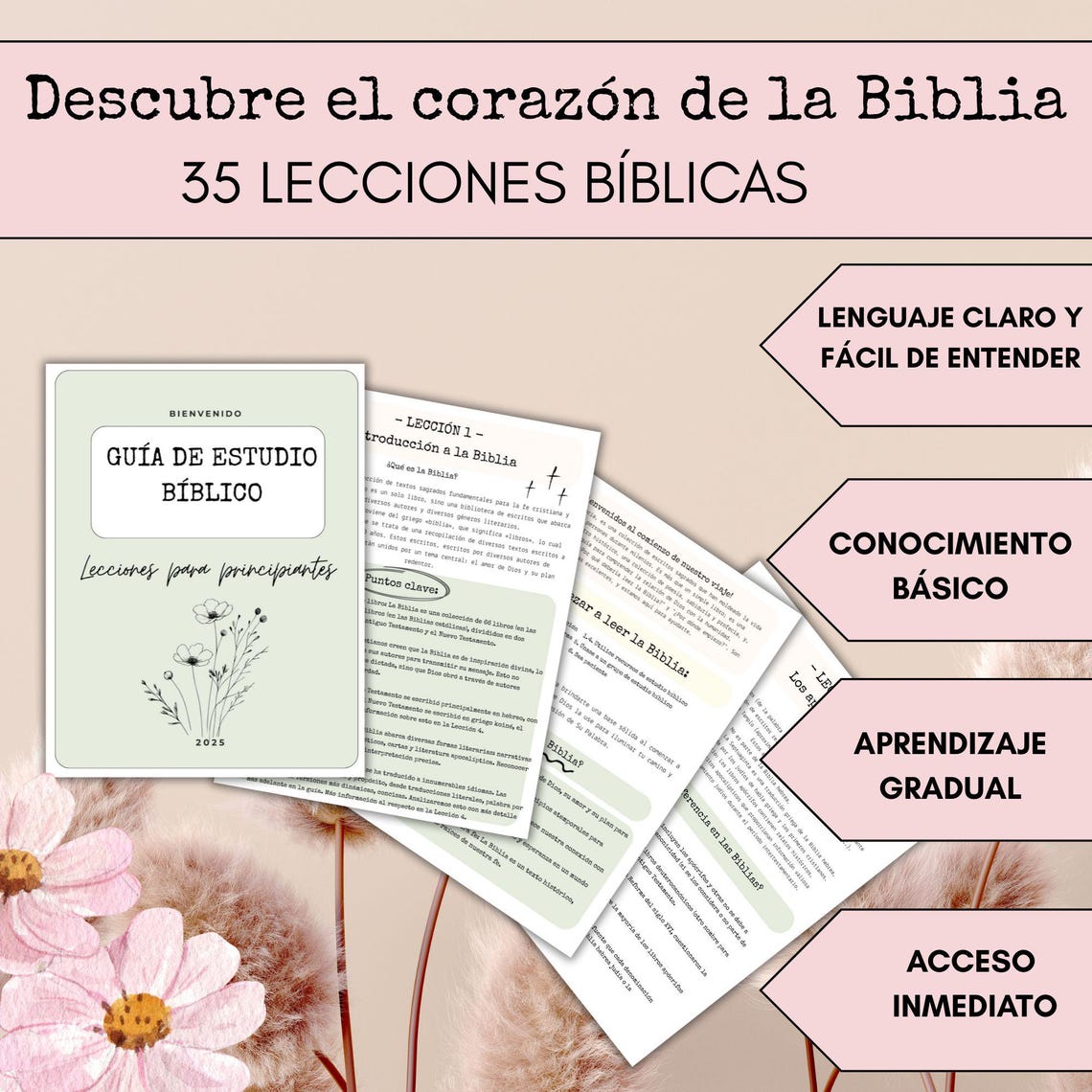 Spanish Bible Study Guide Printable Gift for First Communion Bible ...